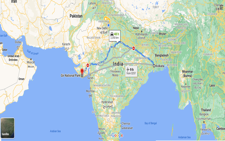 How To Reach Gir National Park From Kolkata? | Reserve India Tours